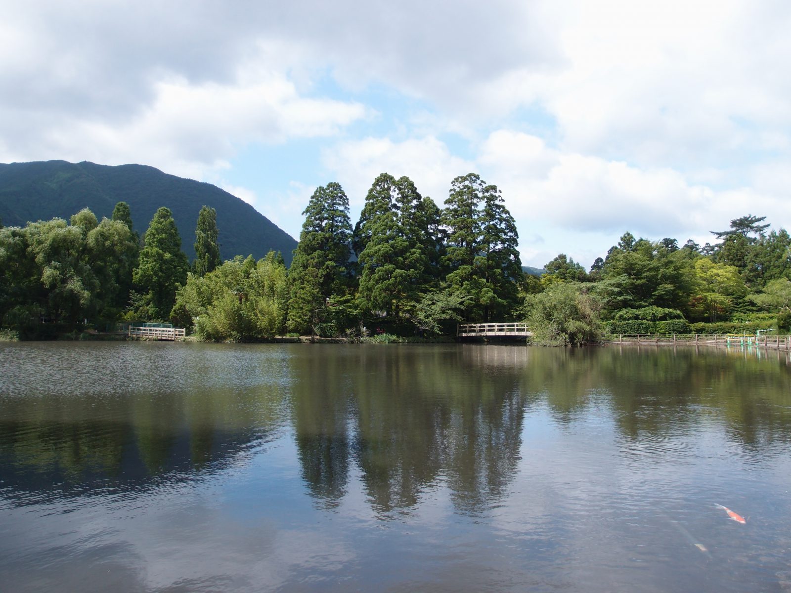 Lake Kinrin | Yufu Tourist Information